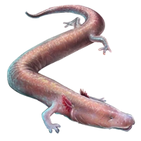 Olm | Mafia Wars Wiki | Fandom