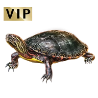 Painted Turtle | Mafia Wars Wiki | Fandom