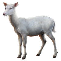 White Deer | Mafia Wars Wiki | Fandom