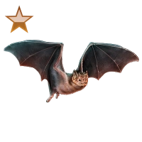 Bulldog Bat | Mafia Wars Wiki | Fandom