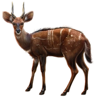 Bushbuck | Mafia Wars Wiki | Fandom