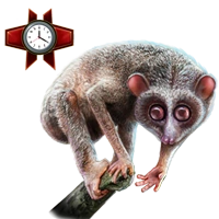 Loris | Mafia Wars Wiki | Fandom