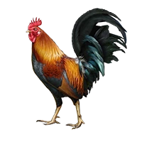 Gallo | Mafia Wars Wiki | Fandom