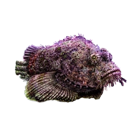 Stonefish | Mafia Wars Wiki | Fandom