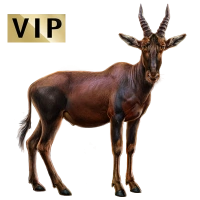 Topi | Mafia Wars Wiki | Fandom