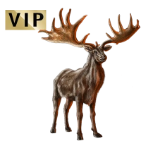 Irish Deer | Mafia Wars Wiki | Fandom