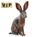 Jackrabbit | Mafia Wars Wiki | Fandom