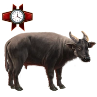 Tamaraw | Mafia Wars Wiki | Fandom