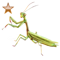 Preying Mantis | Mafia Wars Wiki | Fandom