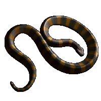 Banded Krait | Mafia Wars Wiki | Fandom