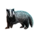 Eurasian Badger | Mafia Wars Wiki | Fandom