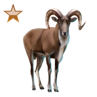 Urial | Mafia Wars Wiki | Fandom