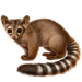 Cacomistle | Mafia Wars Wiki | Fandom