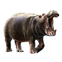 Hippopotamus | Mafia Wars Wiki | Fandom