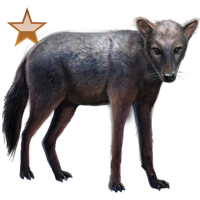 Short-Eared Fox | Mafia Wars Wiki | Fandom