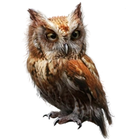 Screech Owl | Mafia Wars Wiki | Fandom
