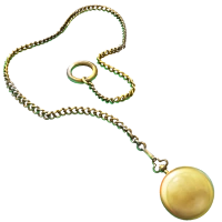 Hypnotist's Medallion | Mafia Wars Wiki | Fandom