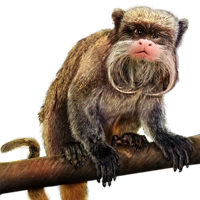 Emperor Tamarin | Mafia Wars Wiki | Fandom