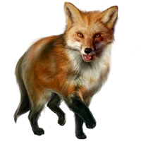 Red Fox | Mafia Wars Wiki | Fandom
