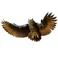 Eagle Owl | Mafia Wars Wiki | Fandom
