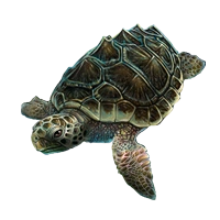 Loggerhead Sea Turtle | Mafia Wars Wiki | Fandom