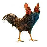 Two-Headed Rooster | Mafia Wars Wiki | Fandom