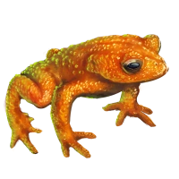 Golden Toad | Mafia Wars Wiki | Fandom