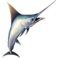 Xiphias Gladius | Mafia Wars Wiki | Fandom