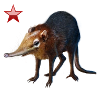 Elephant Shrew | Mafia Wars Wiki | Fandom