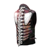 Spinal Jacket | Mafia Wars Wiki | Fandom