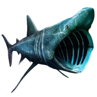 Basking Shark | Mafia Wars Wiki | Fandom