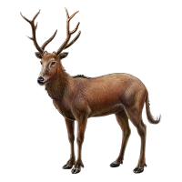 Pere David's Deer | Mafia Wars Wiki | Fandom