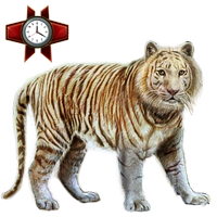 Tiglon