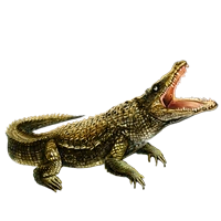 Coccodrillo | Mafia Wars Wiki | Fandom