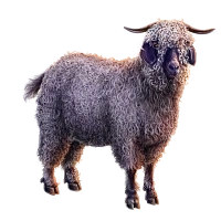 Angora Goat | Mafia Wars Wiki | Fandom
