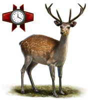 Sika Deer | Mafia Wars Wiki | Fandom