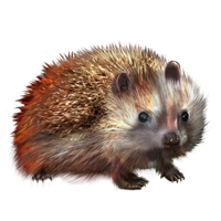 Daurian Hedgehog | Mafia Wars Wiki | Fandom