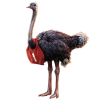 Race Ostrich | Mafia Wars Wiki | Fandom