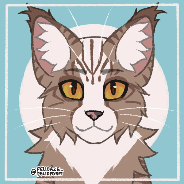 Falconwing | MageOfTales's Warriors ocs Wiki | Fandom