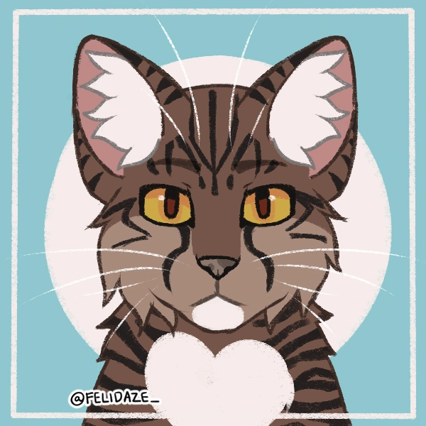 Birchfeather | MageOfTales's Warriors ocs Wiki | Fandom