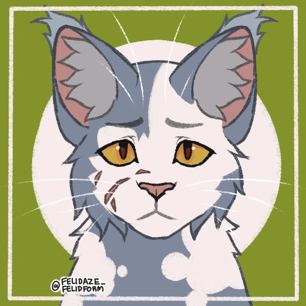 Skywatcher | MageOfTales's Warriors ocs Wiki | Fandom