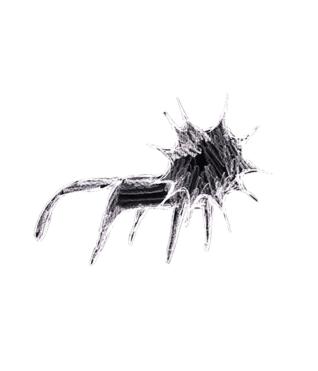 Ulla | Magia Record English Wiki | Fandom