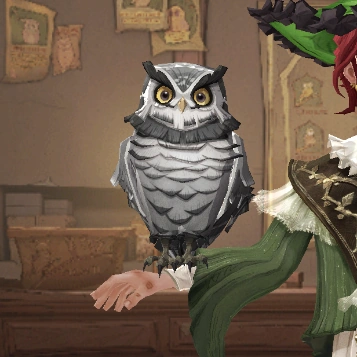 Northern Hawk-Owl | Harry Potter: Magic Awakened Wiki | Fandom