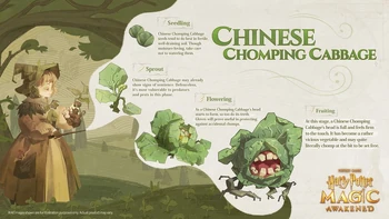 Chinese Chomping Cabbage | Harry Potter: Magic Awakened Wiki | Fandom