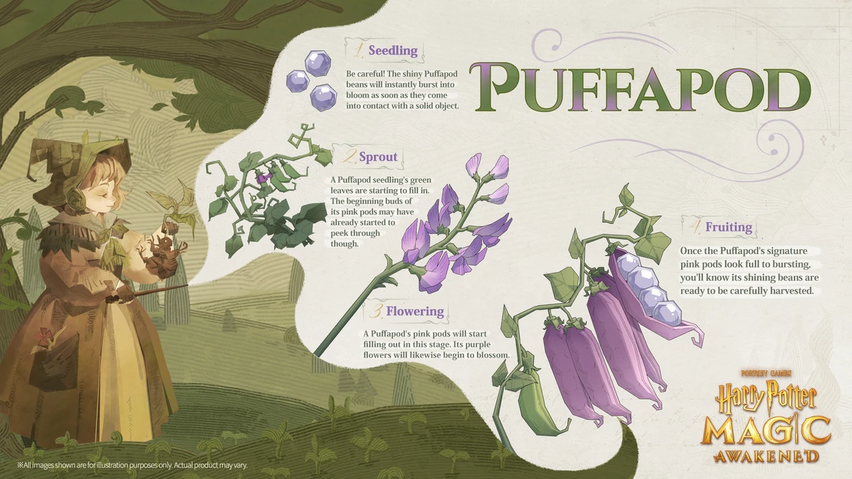 Puffapod | Harry Potter: Magic Awakened Wiki | Fandom