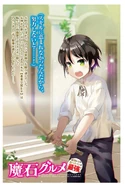 Light Novel Volume 1 | Magic Gems Gourmet Wiki | Fandom