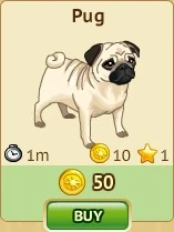 Pug | Magic Islands Wikia | Fandom