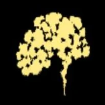 Intelligence | Magic Survival Wiki | Fandom