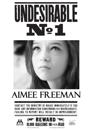 Aimee Freeman | Magic Unbound Wiki | Fandom