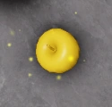 Golden Apple | Magic V.2 "Witchcraft" Wiki | Fandom